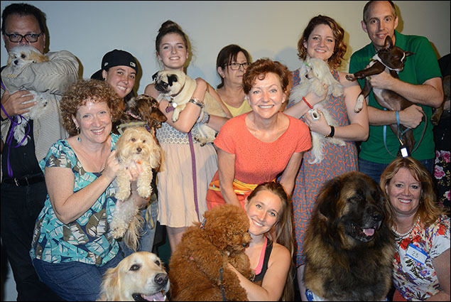 Calling All Canines! Meet the Potential Pooches To Be the Face of ...